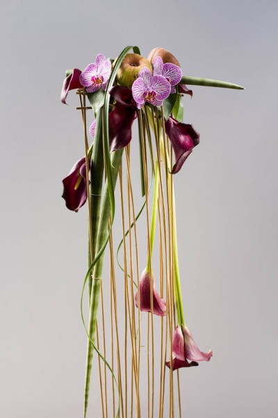 Mark Pampling – Design 11 – Figs and Callas – Bangalow Garden Club